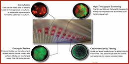 Cell Systems Biology :: technologies for medical research and ...