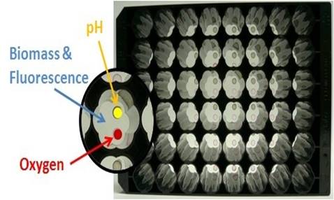 Cell Systems Biology :: technologies for medical research and ...