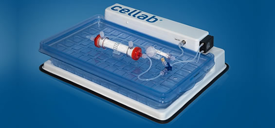 Cell Systems Biology