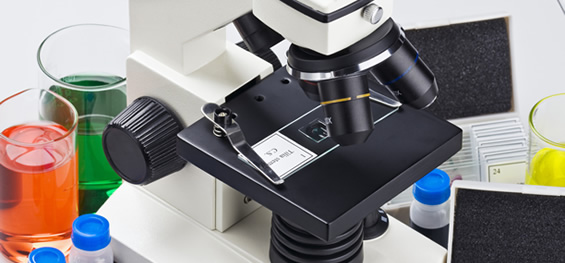 Cell Systems Biology :: technologies for medical research and ...